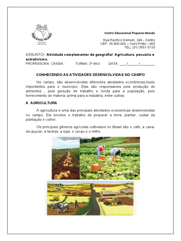 Atividade Complementar Geografia Agricultura, Pecuaria e Extrativismo | PDF