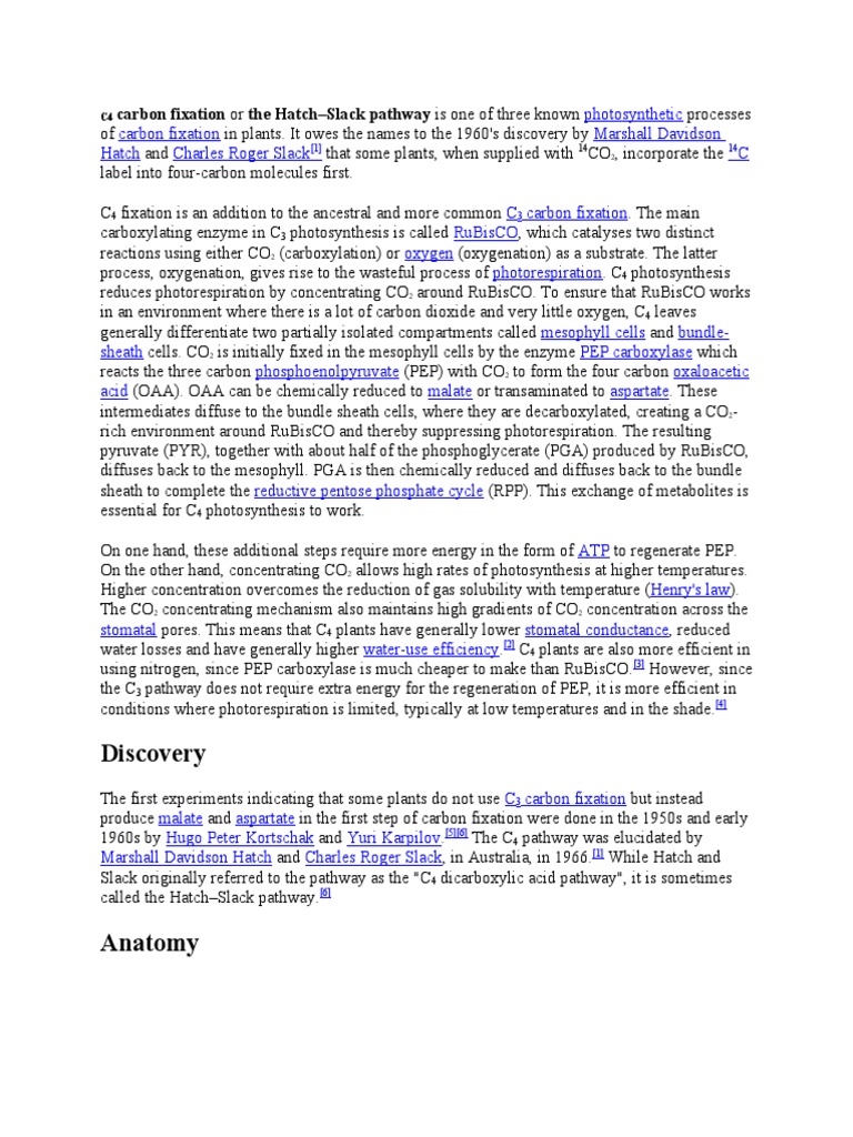 C4 Pathway | PDF | Photosynthesis | Biology