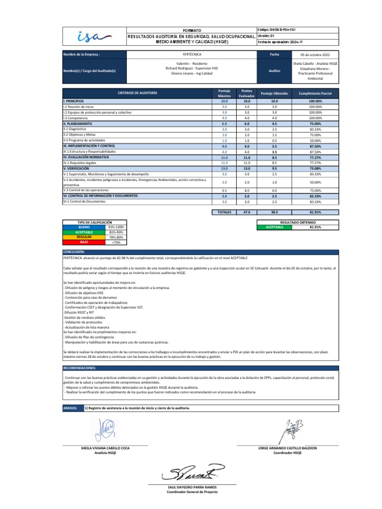 Resultados de Auditoría Nazca - 05.10 | PDF | Auditoría