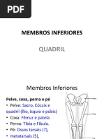Musculos Quadril Tabela | PDF | Quadril | Anatomia dos membros inferiores