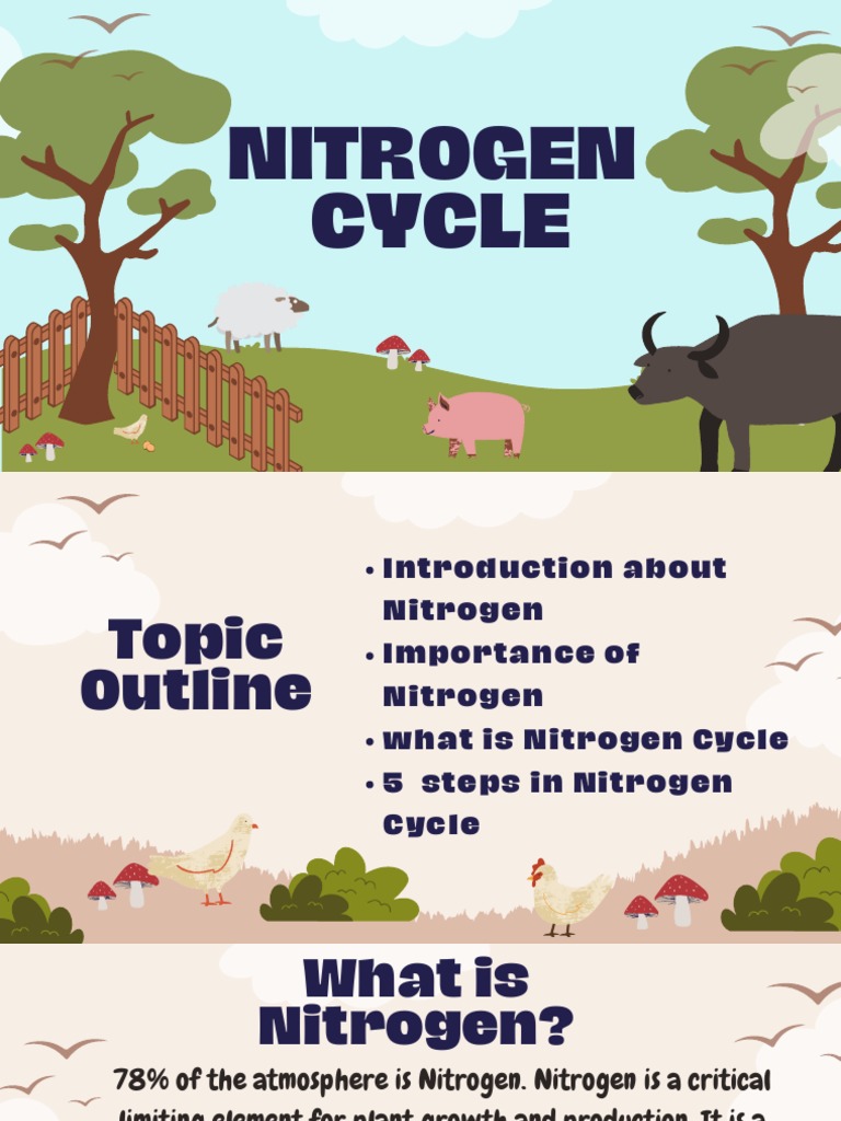 Nitrogen Cycle | PDF | Chemistry | Earth Sciences