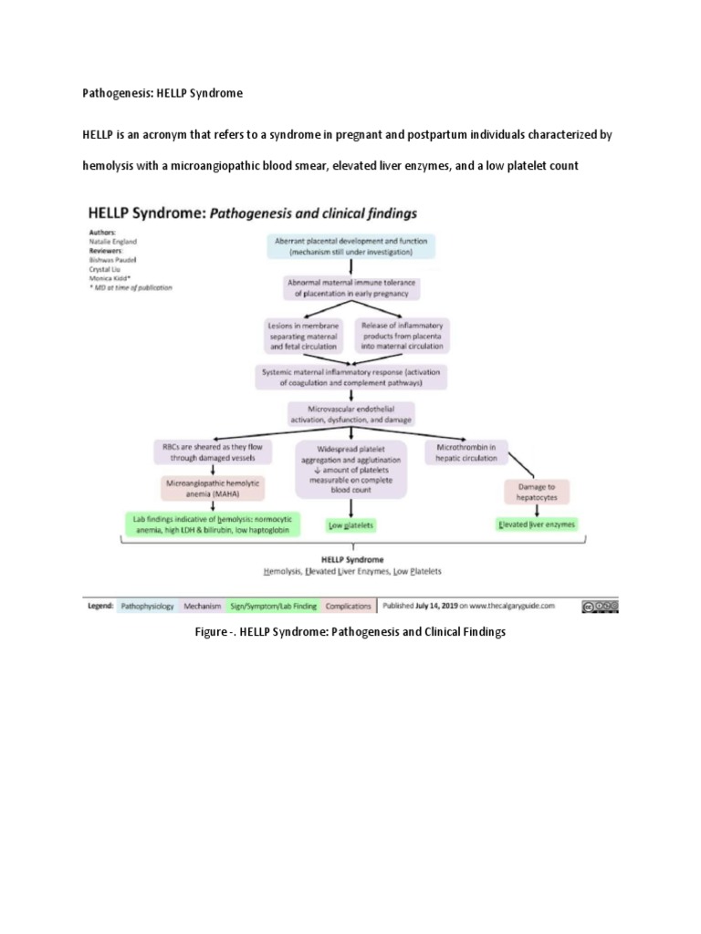 HELLP Syndrome: Pathogenesis Explained | PDF