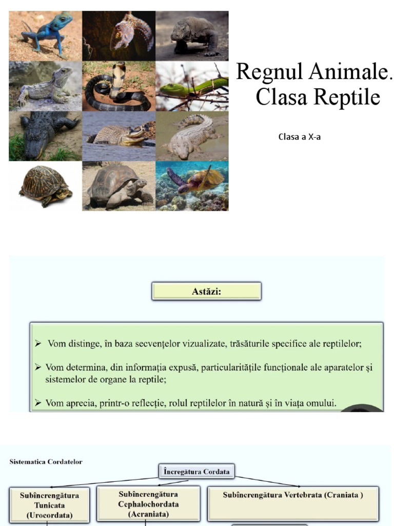 Regnul Animale. Clasa Reptile | PDF