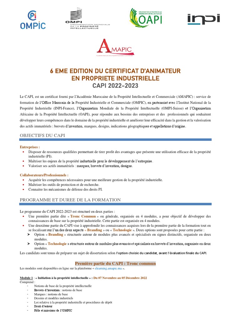 CAPI Brochure Édition 2022-2023 VF | PDF | Brevet | Propriété ...