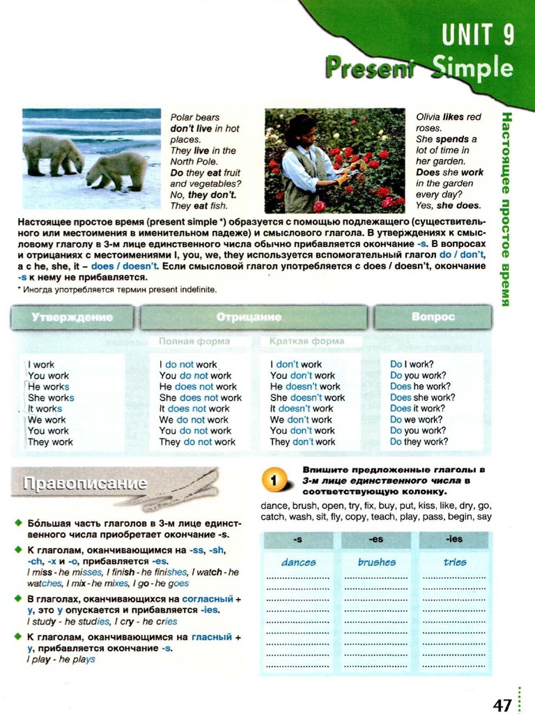 Grammarway Present Simple | PDF