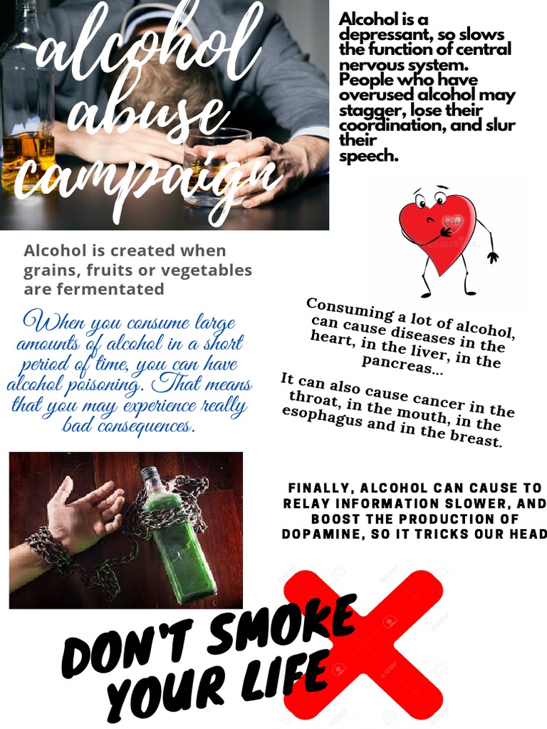 6.04) Assignment - Alcohol Abuse | PDF