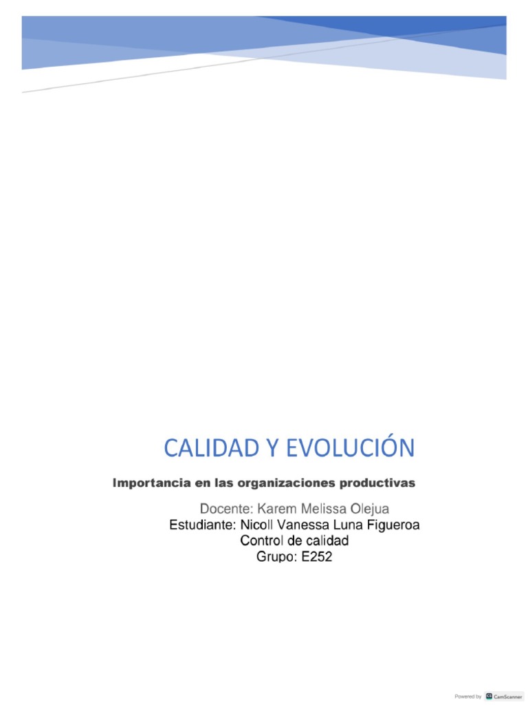 Ensayo Control de Calidad | PDF