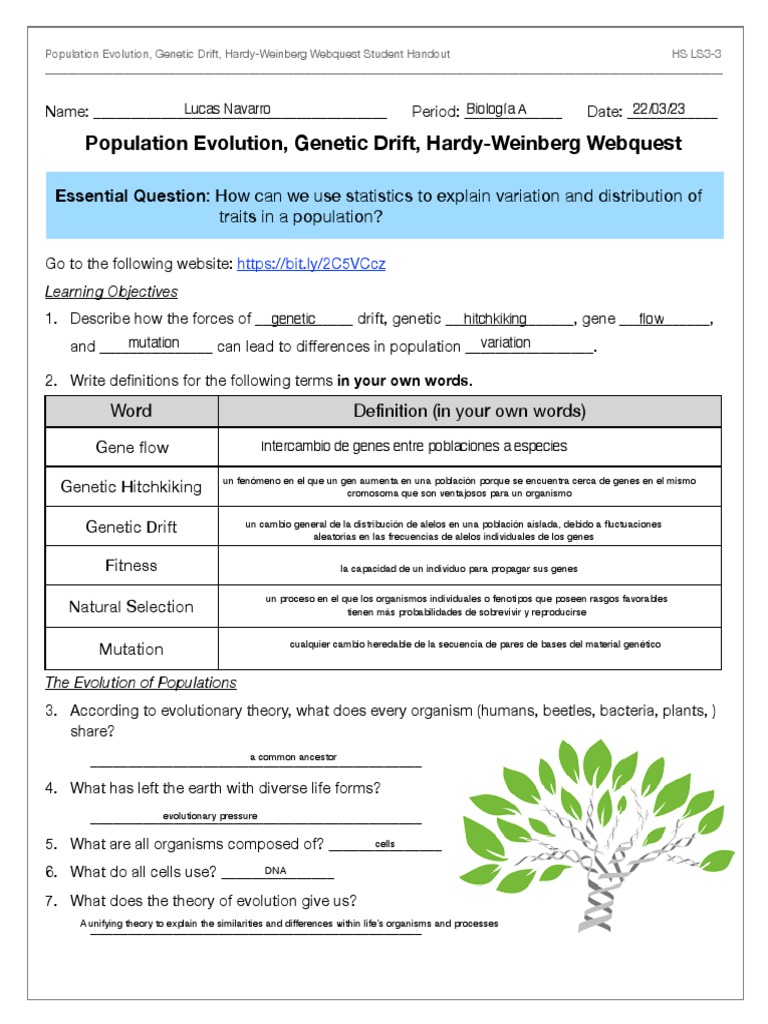 Population Evolution, Genetic Drift, Hardy-Weinberg Webquest | PDF ...
