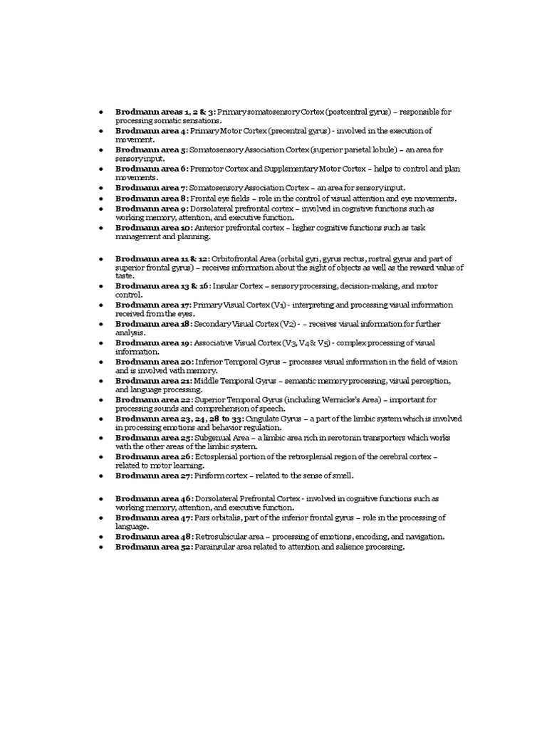 Brodmann Areas 1 | PDF | Visual Cortex | Cerebral Cortex