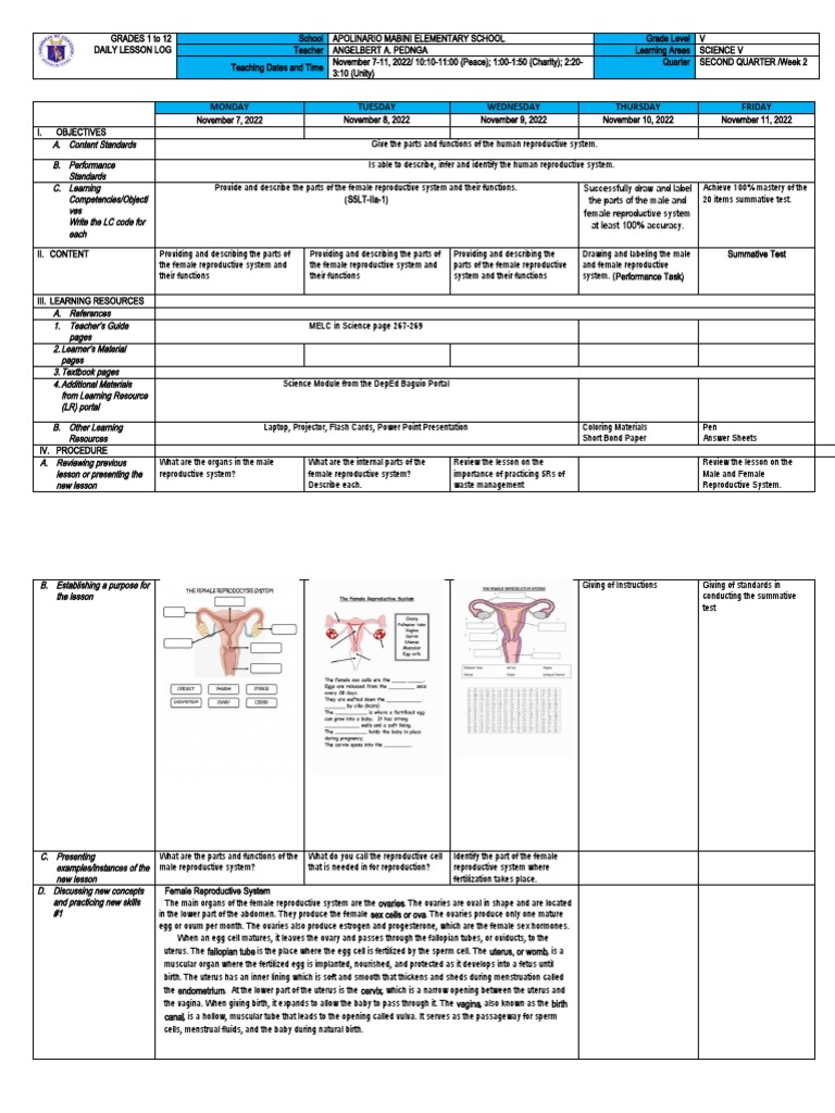 Science DLL Q2W2 | PDF | Uterus | Ovary