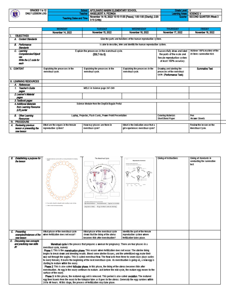 Science DLL q2w3 | PDF | Menstrual Cycle | Human Reproduction