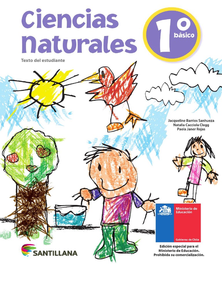 Ciencias Naturales 1 Santillana | PDF