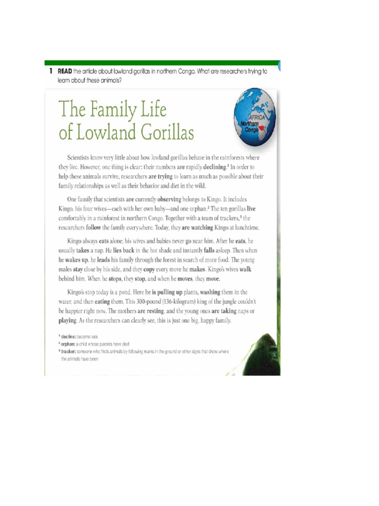 Grammar Explorer - Unit 1 | PDF