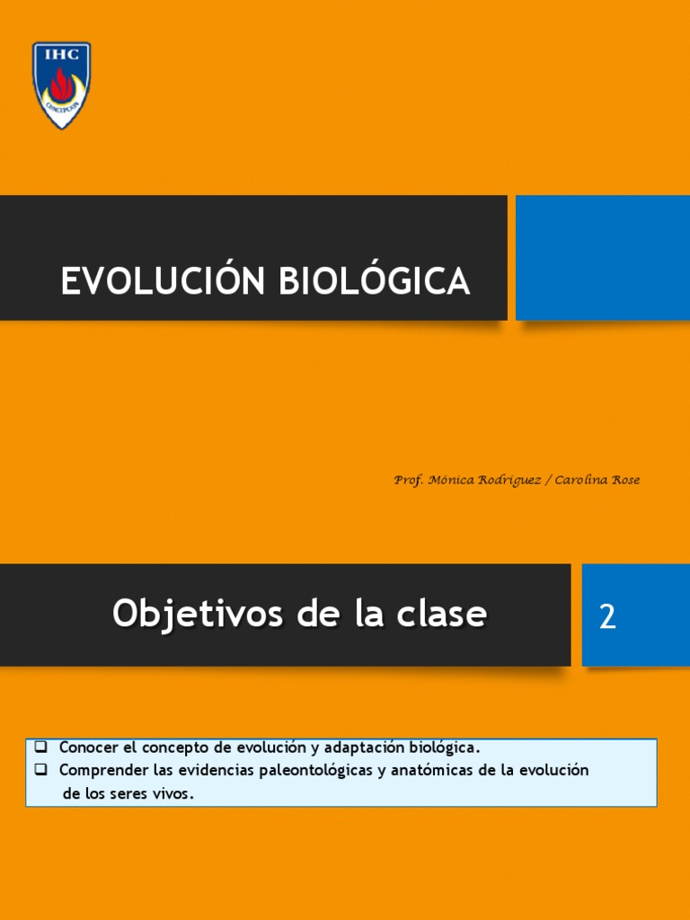 PPT Pruebas de La Evolucion | PDF | Fósil | Evolución