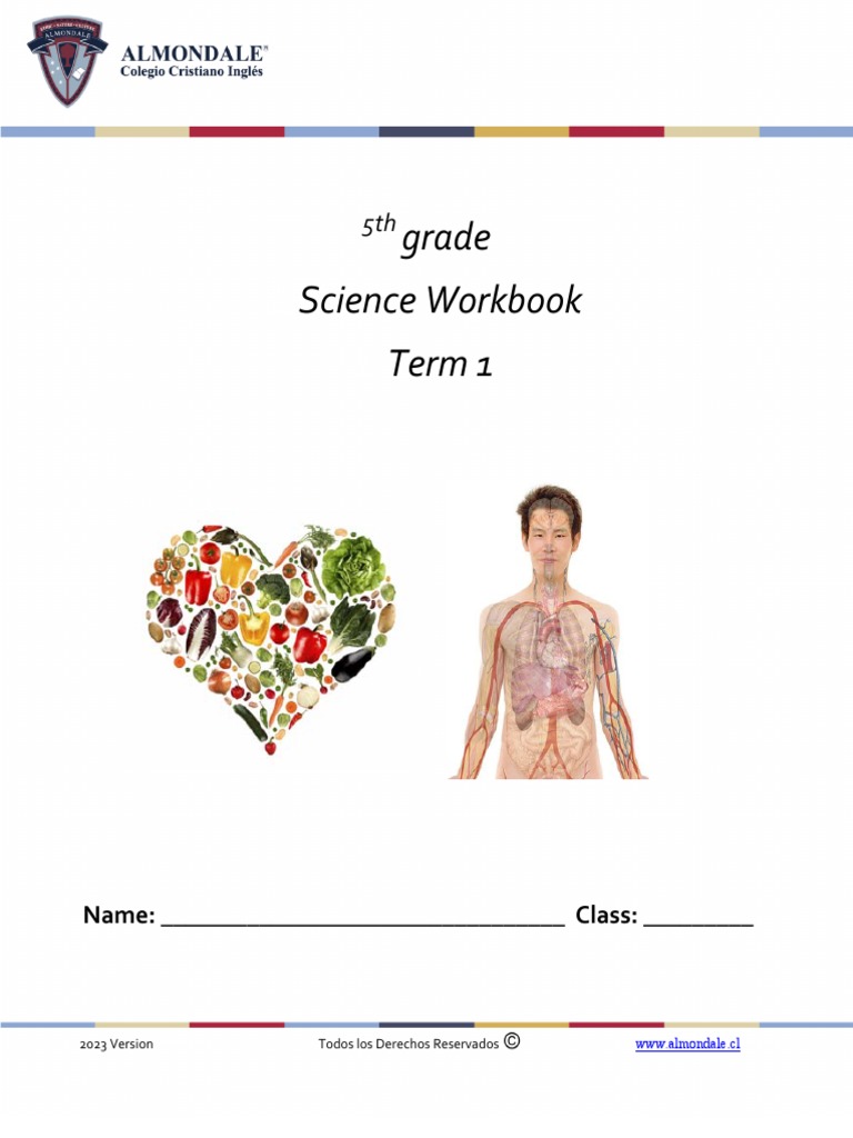 5th Grade Science Workbook | PDF | Foods | Human Body