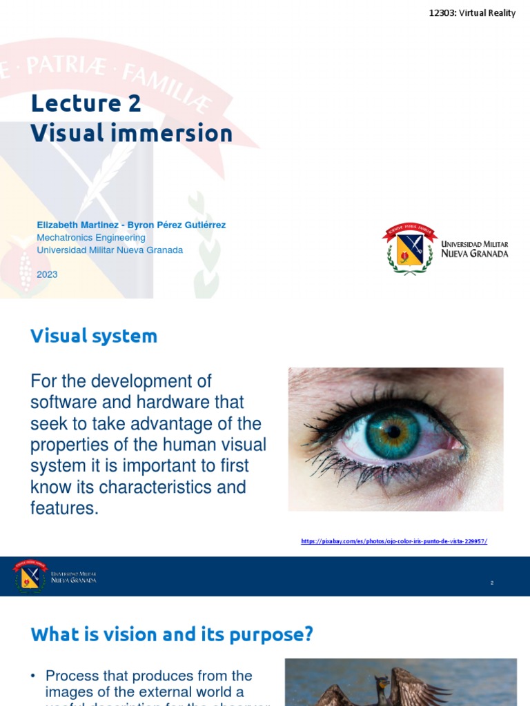 2.visual Immersion | PDF | Stereoscopy | Human Eye