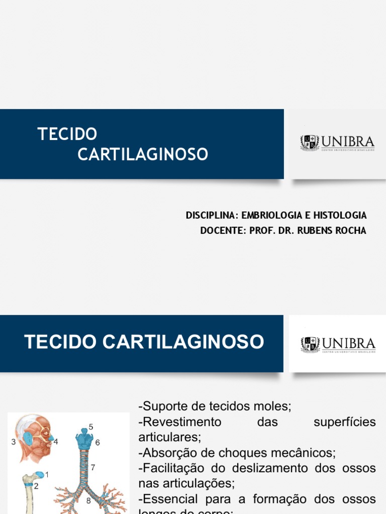 03c937caa9fc92c621bf2edd5d75a3TECIDO CARTILAGINOSO.7c | PDF ...