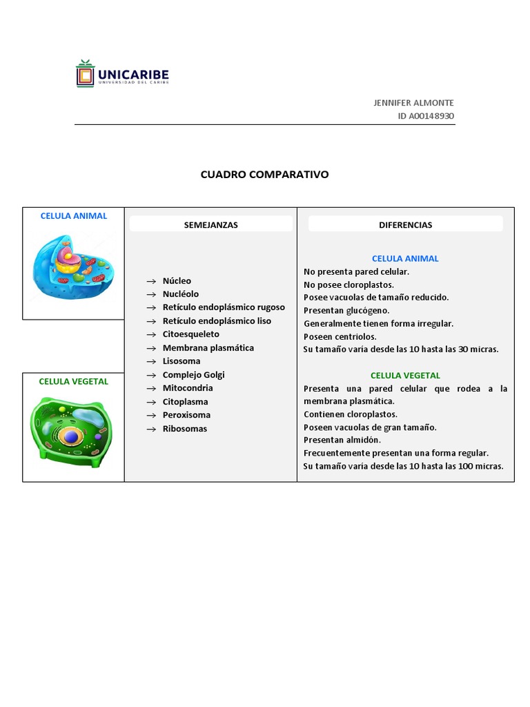 Cuadro Comparativo | PDF | Hogar, jardinería y bricolaje | Ciencia y ...