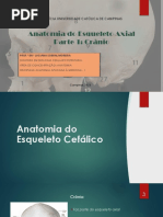 Suturas Do Crânio Resumo | PDF | Anatomia | Anatomia humana