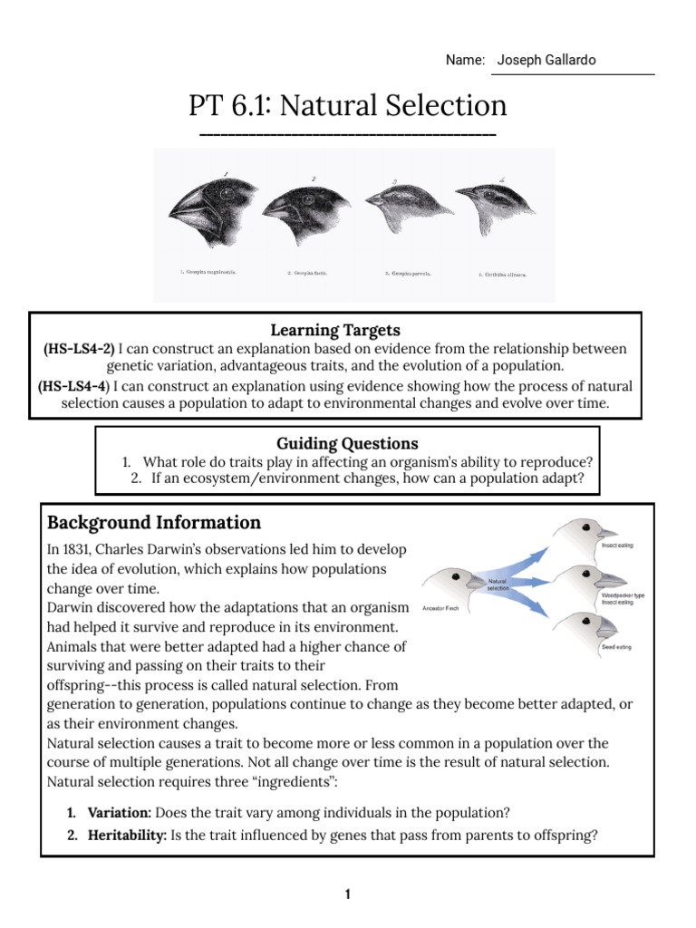 Joseph Gallardo - Copy of PT 6 | PDF | Natural Selection | Evolution