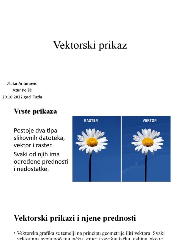 Vektorski Prikaz | PDF