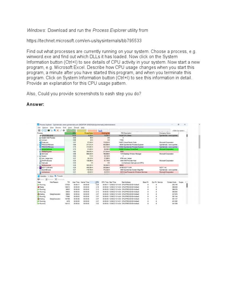 Process Explorer Utility | PDF | Microsoft Windows | Software Engineering