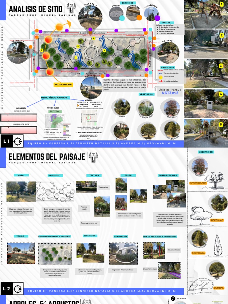 Análisis de Sitio: Parque Prof. Miguel Salinas | PDF | Arboles | Botánica