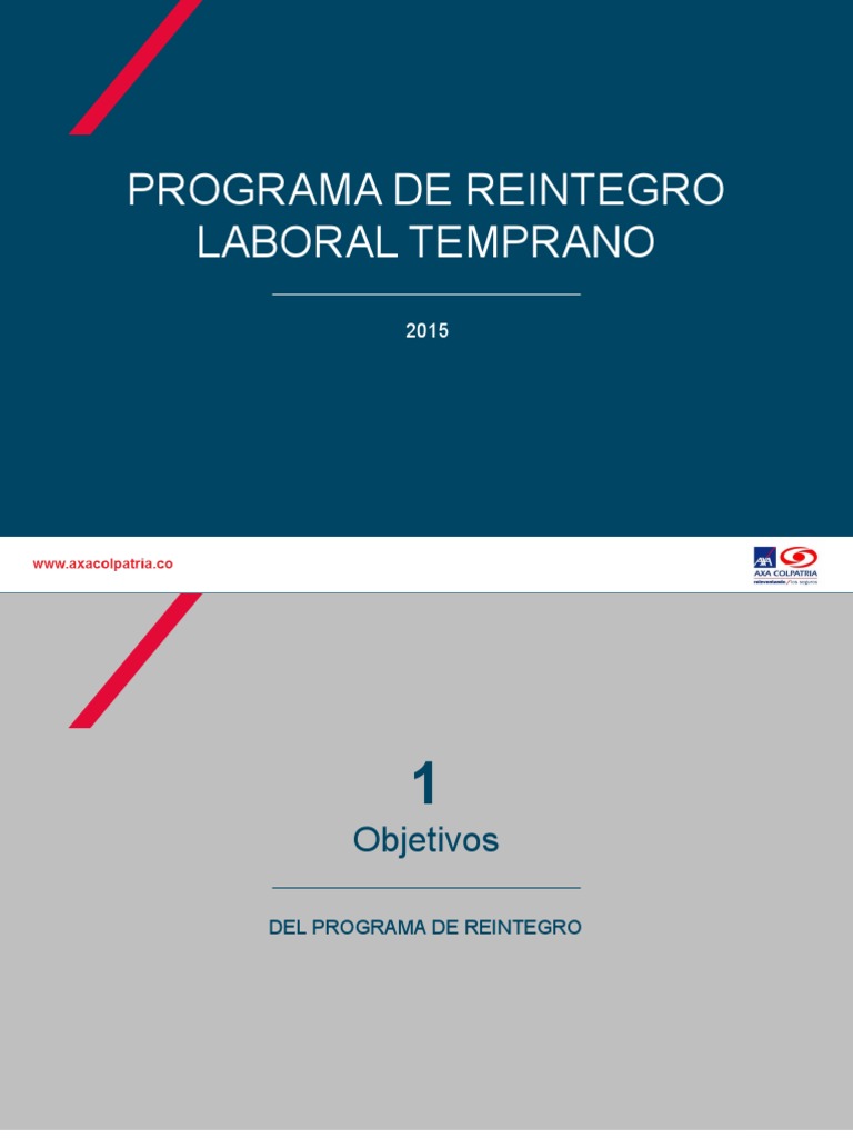 Programa de Reintegro | PDF