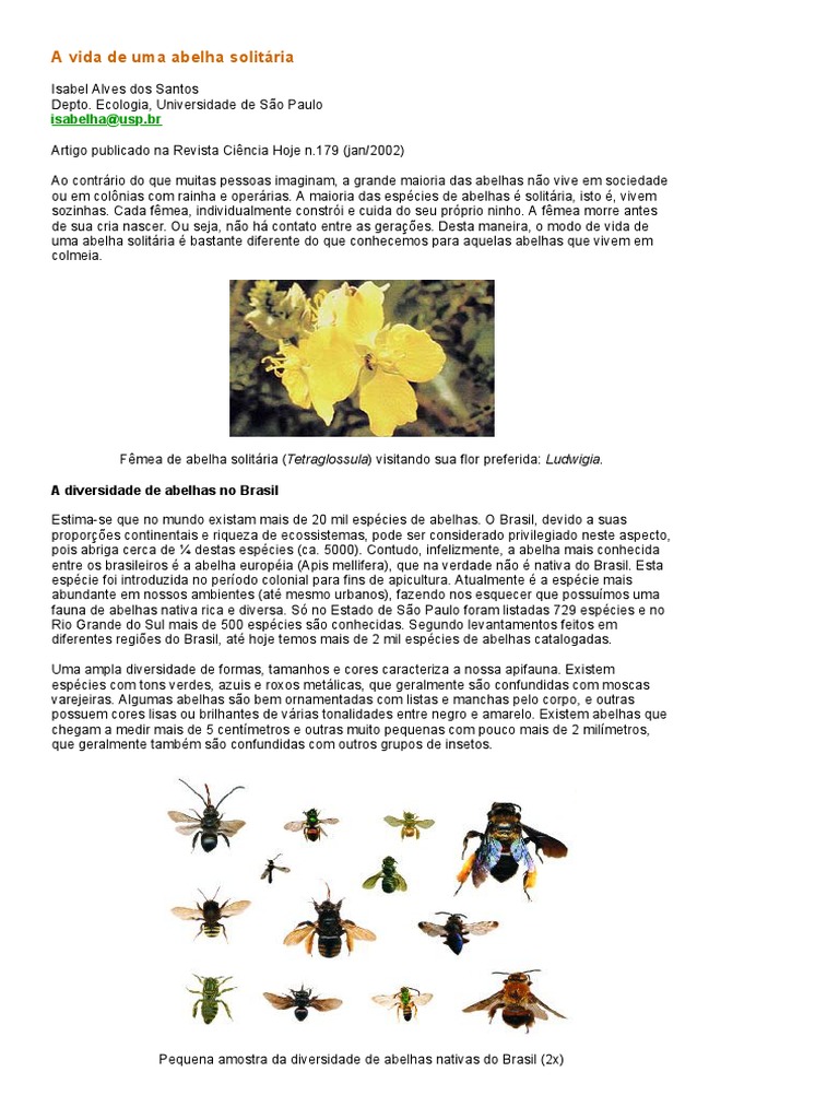 Abelhas Solitárias | PDF | Abelhas | Parasitismo