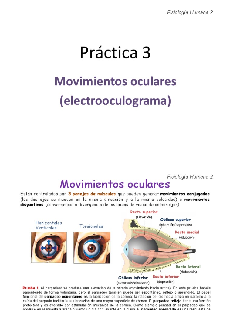 Tipos y Control de Movimientos Oculares | PDF | Percepción visual | Ojo