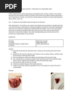 Sheep Heart Dissection Lab Guide | PDF