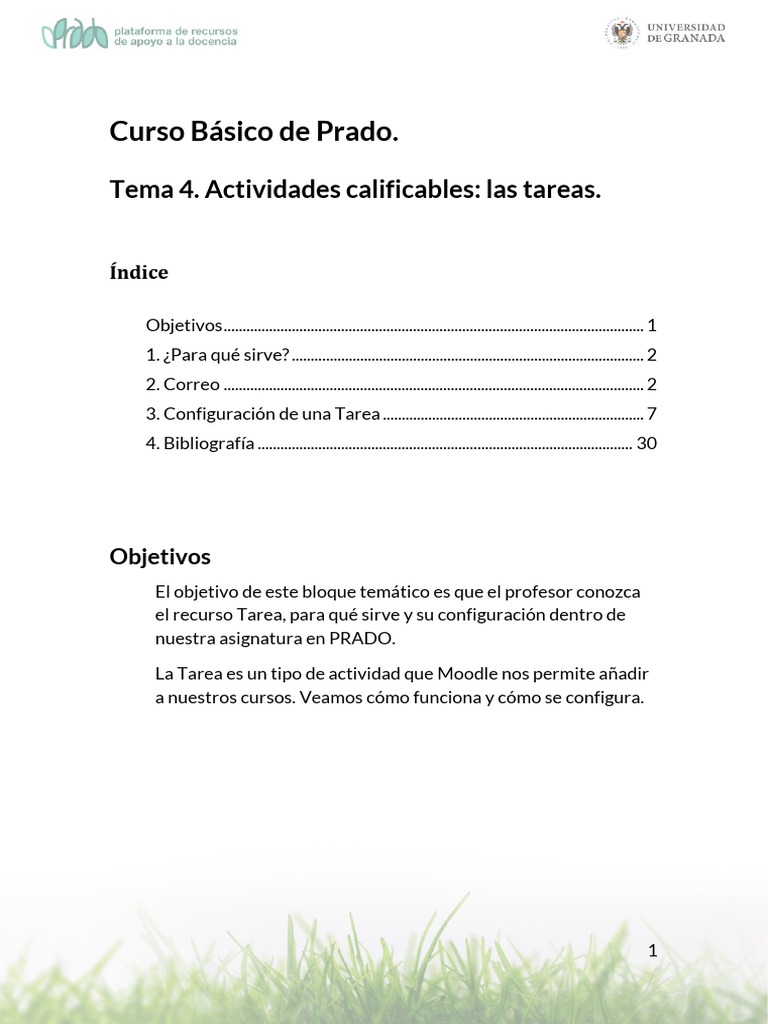 PRADO Tareas 0 | PDF | Informática | Software