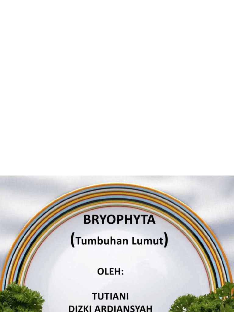 BRYOPHYTA Tumbuhan Lumut | PDF