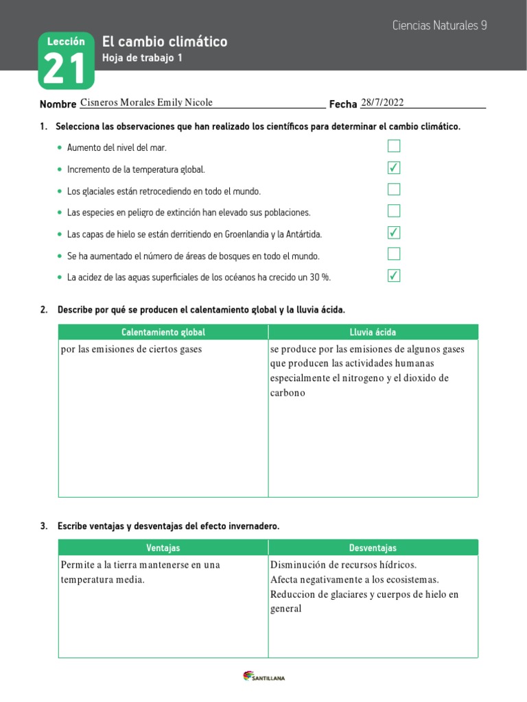 Hoja de Trabajo CCNN | PDF