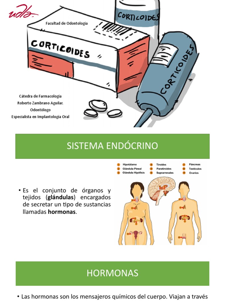 Corticoides | PDF | Glucocorticoides | Cortisol