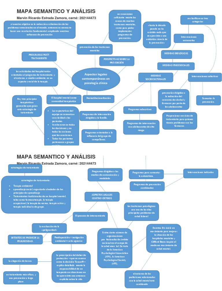 Mapa Semántico | PDF | Mente | Salud mental