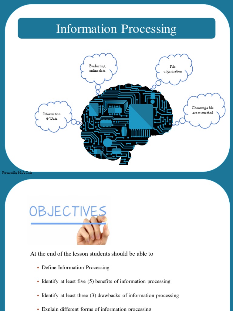 What Is Information Processing | PDF | Information | Data