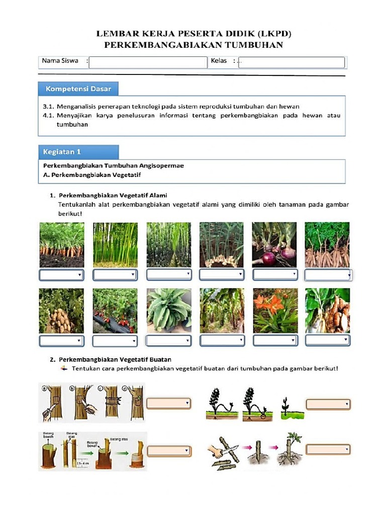 LKPD Sistem Reproduksi Tumbuhan Dan Hewan | PDF