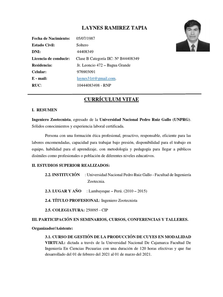 Laynes Ramirez Tapia CV 2021 | PDF