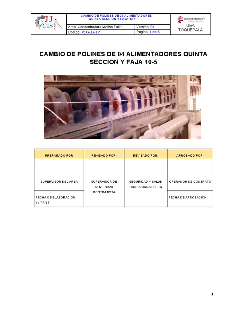 PETS Polines | PDF | Seguridad y salud ocupacional