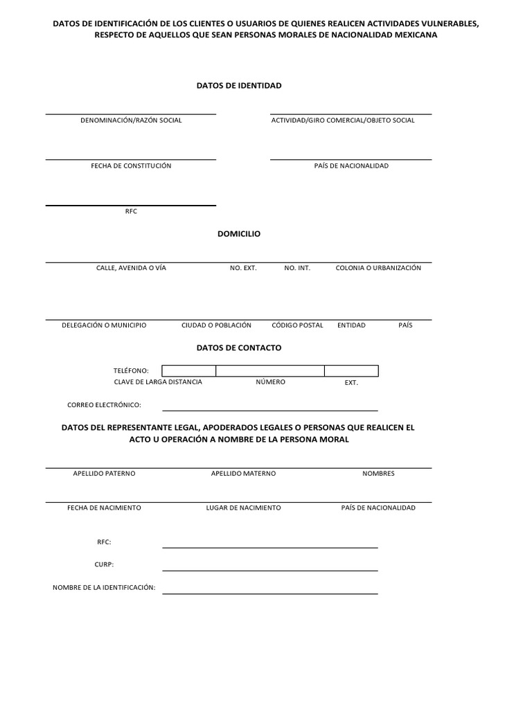 Anexo 4 Expediente Identificacion PM Form | PDF