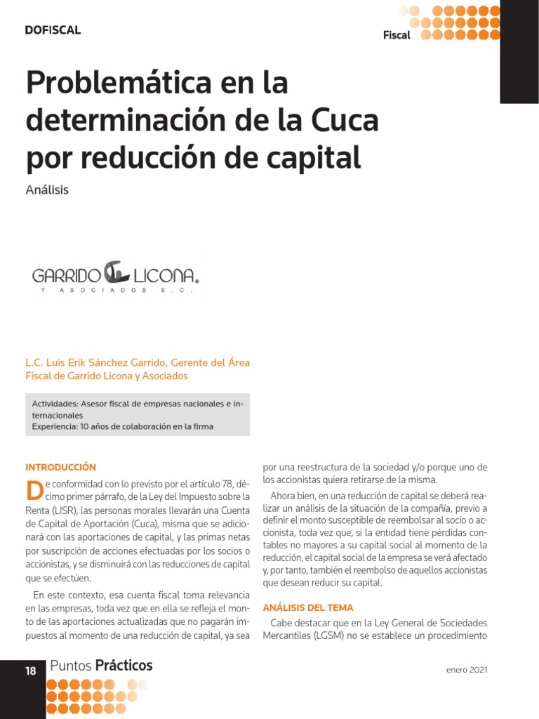 Cuca | PDF | Compartir (Finanzas) | Contabilidad