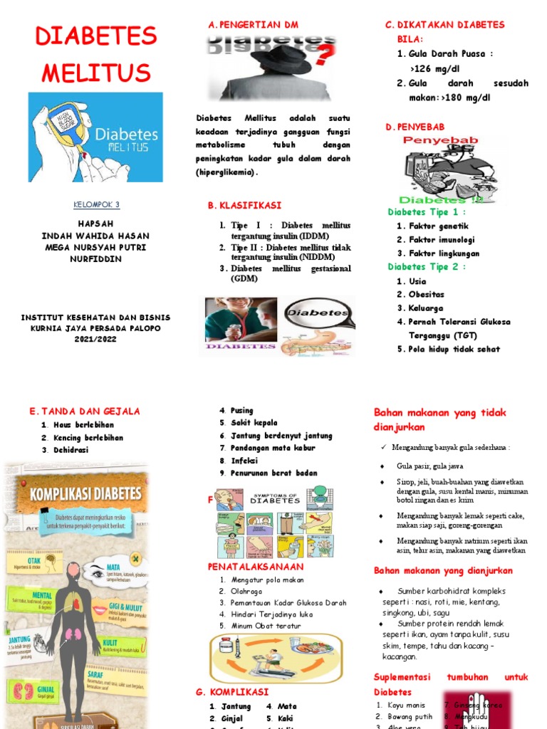 Leaflet DM | PDF | Kesehatan Holistik