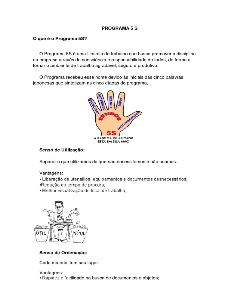 Programa 5S | PDF