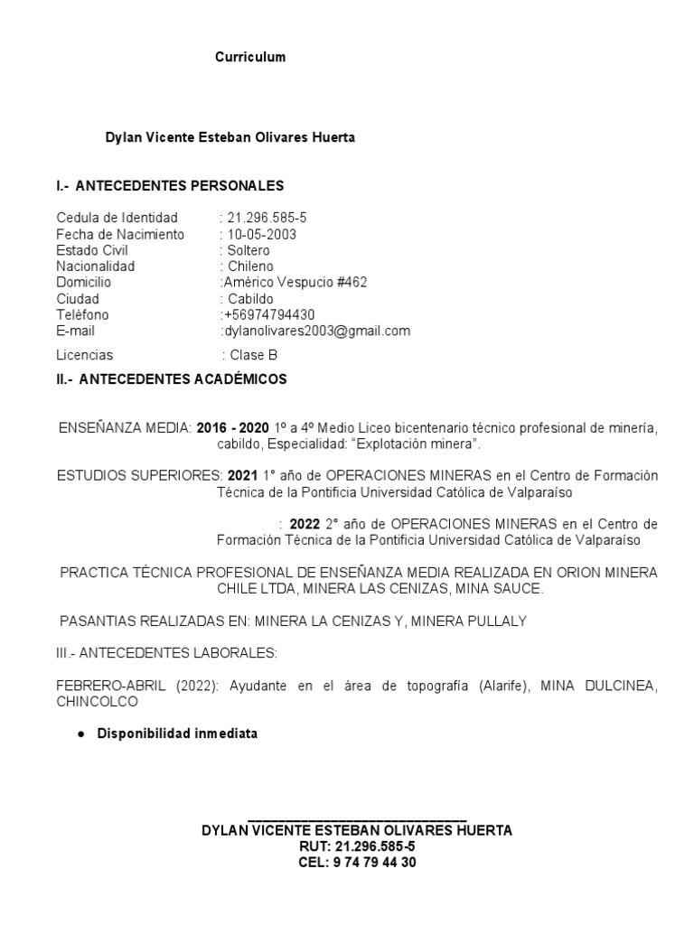 CV Dylan Olivares | PDF