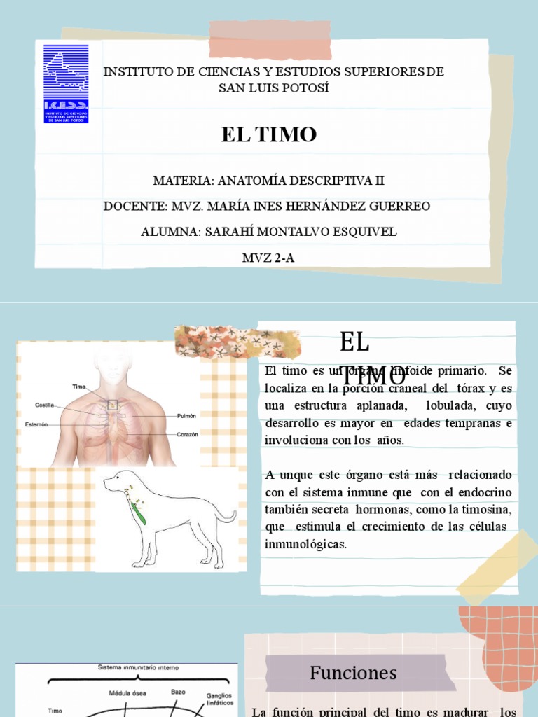 El Timo Animal | PDF