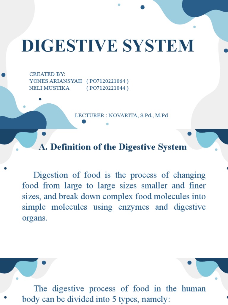 Understanding the Human Digestive System | PDF | Digestion | Human ...