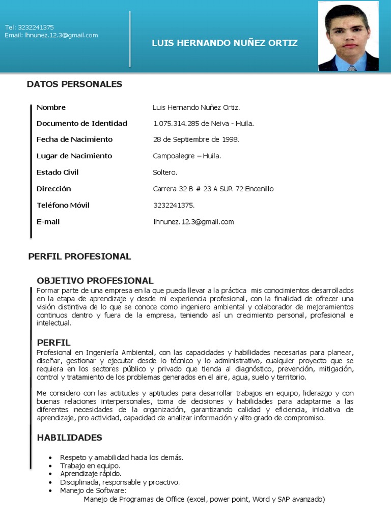 Hoja de Vida Luis 2022 | PDF | Business