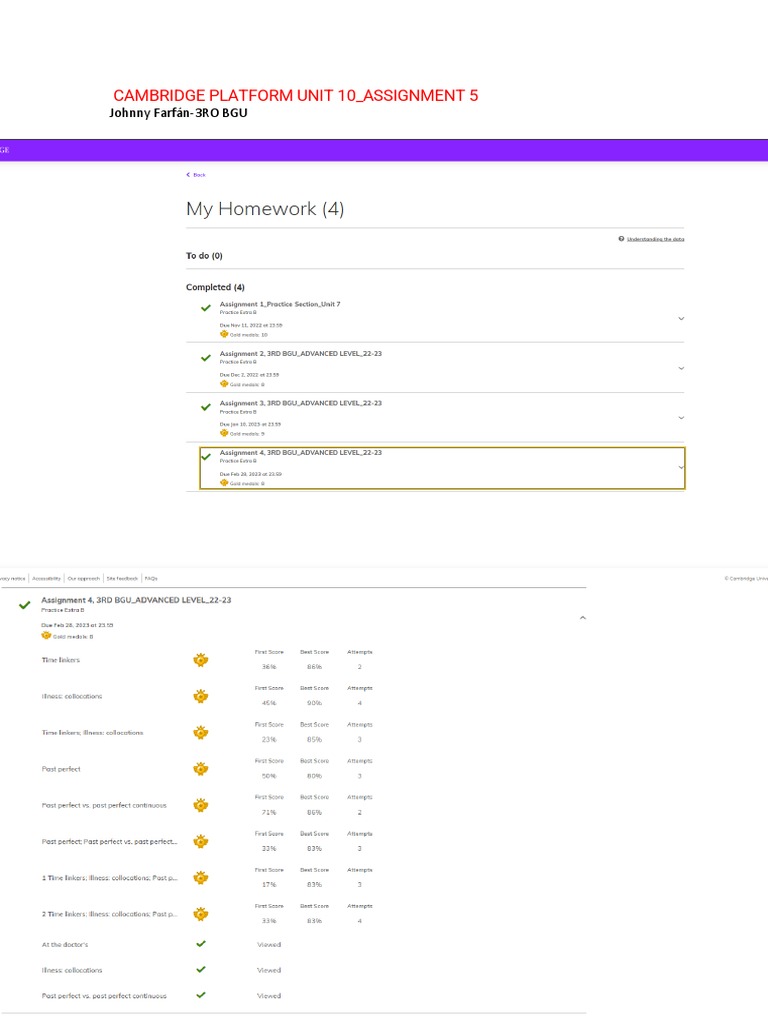 Cambridge Platform Unit 10 | PDF
