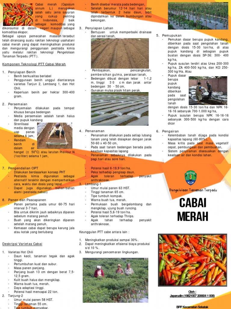 Leaflet Budidaya Cabe | PDF
